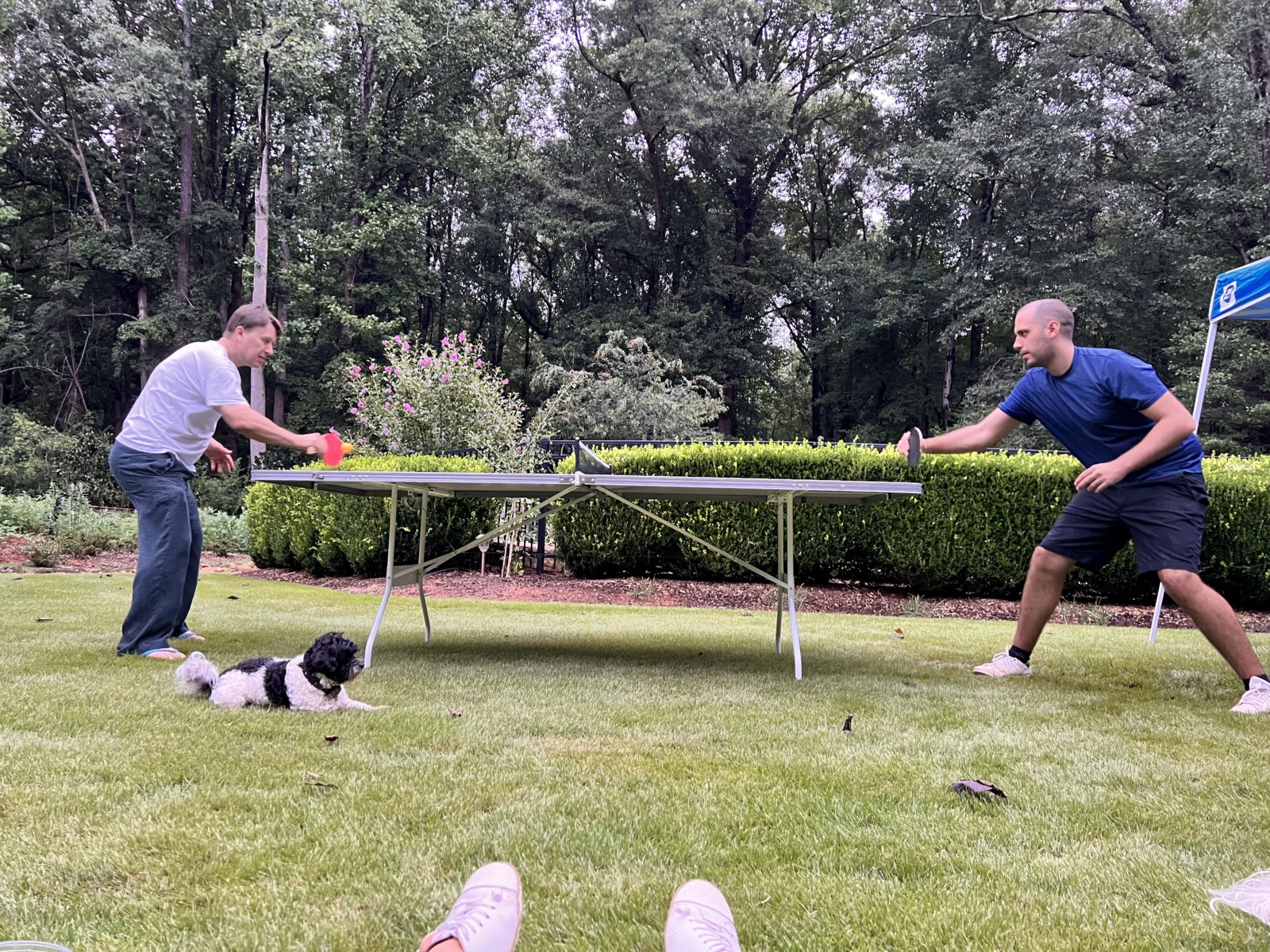 LAB ACTIVITIES | UGA Wild Peanut Lab